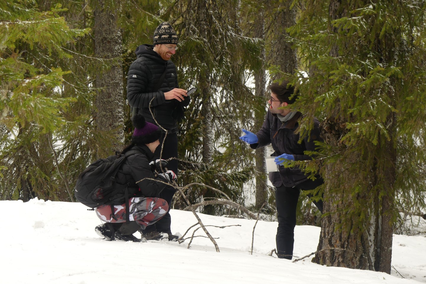 Flying Squirrel – The small gliding ghosts of the forest are in danger ...